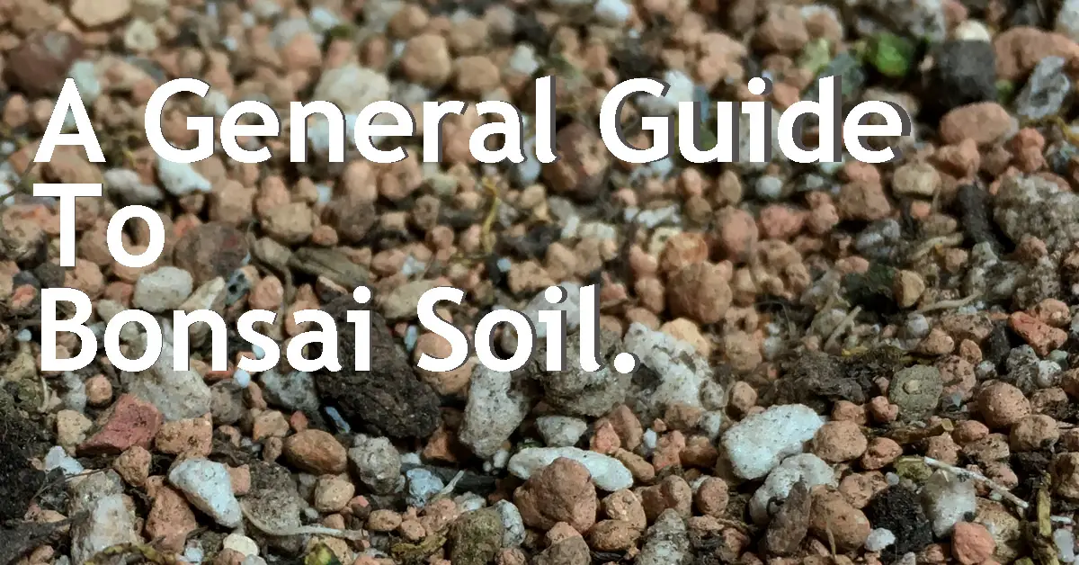 A General Guide To Bonsai Soil - Back Garden Bonsai