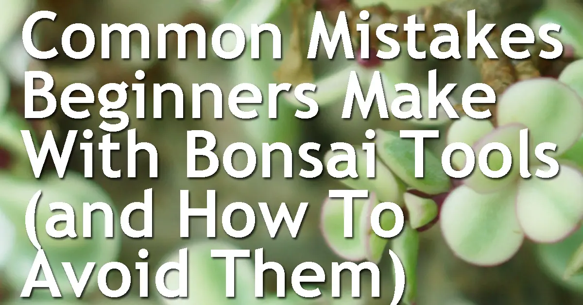 Common Mistakes Beginners Make With Bonsai Tools (and How To Avoid Them) - Back Garden Bonsai