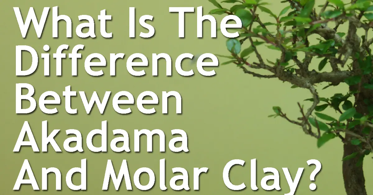 What Is The Difference Between Akadama And Molar Clay? - Back Garden Bonsai